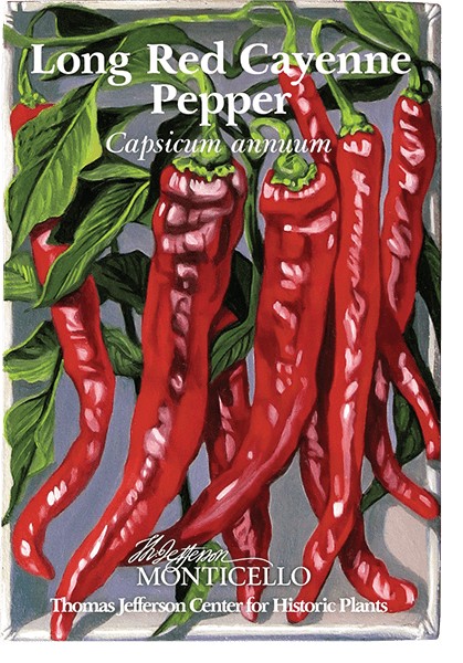 Long Red Cayenne Pepper Seeds (Capsicum annuum) – Monticello Shop
