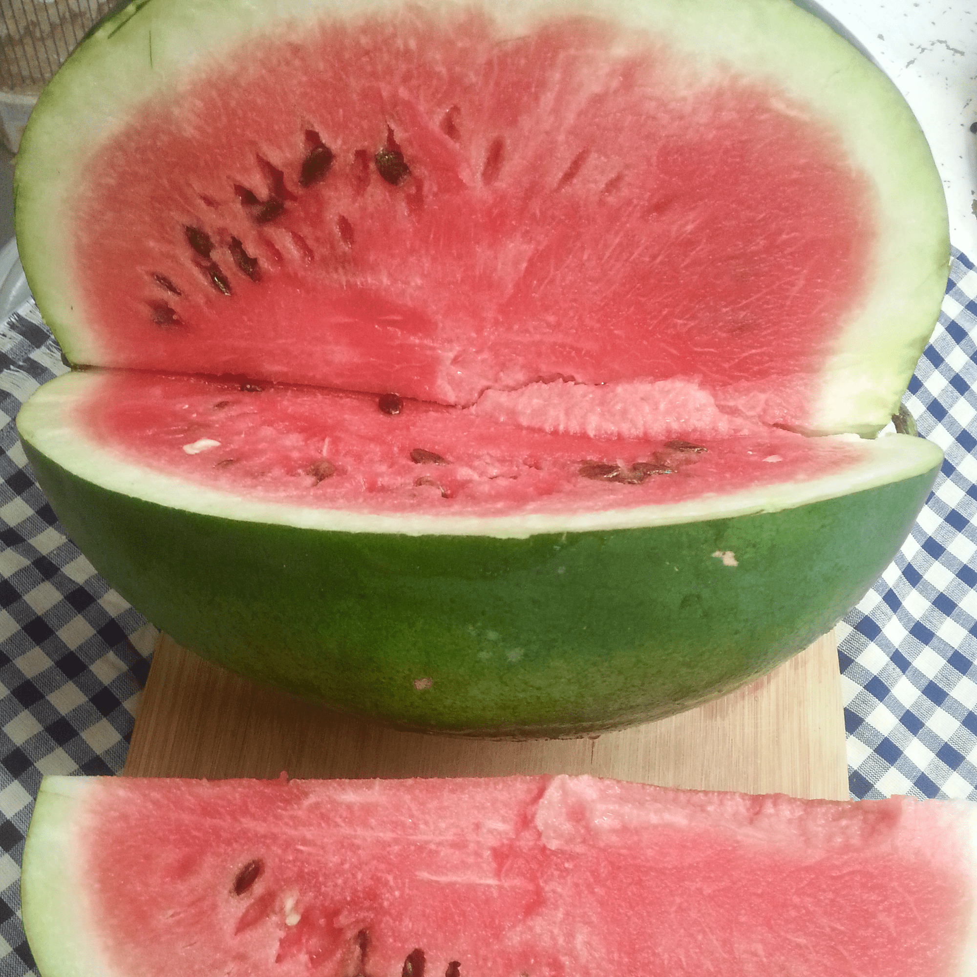 Mountain Sweet Watermelon Seeds (Citrullus lanatus cv.) – Monticello Shop