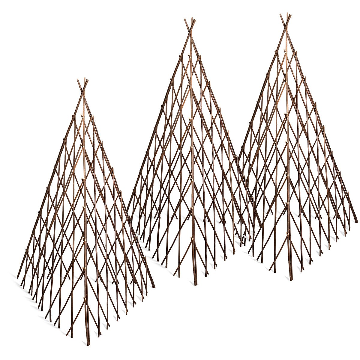 Willow Plant Pyramids (Set of 3) – Monticello Shop