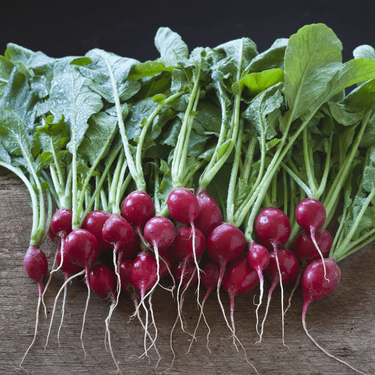 Early Scarlet Globe Radish Seeds (Raphanus sativus cv.) – Monticello Shop